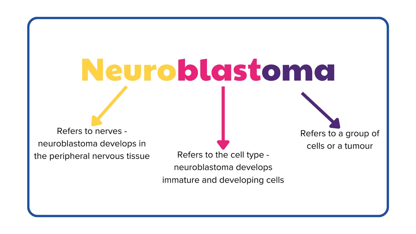 Neuroblastoma | Solving Kids' Cancer UK | Solving Kids Cancer